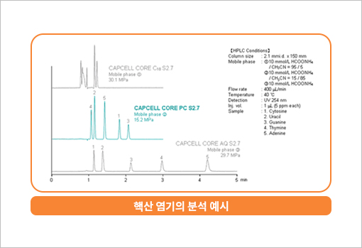 (주)피크만에스피